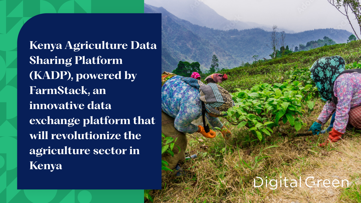 Insights – Digital Green